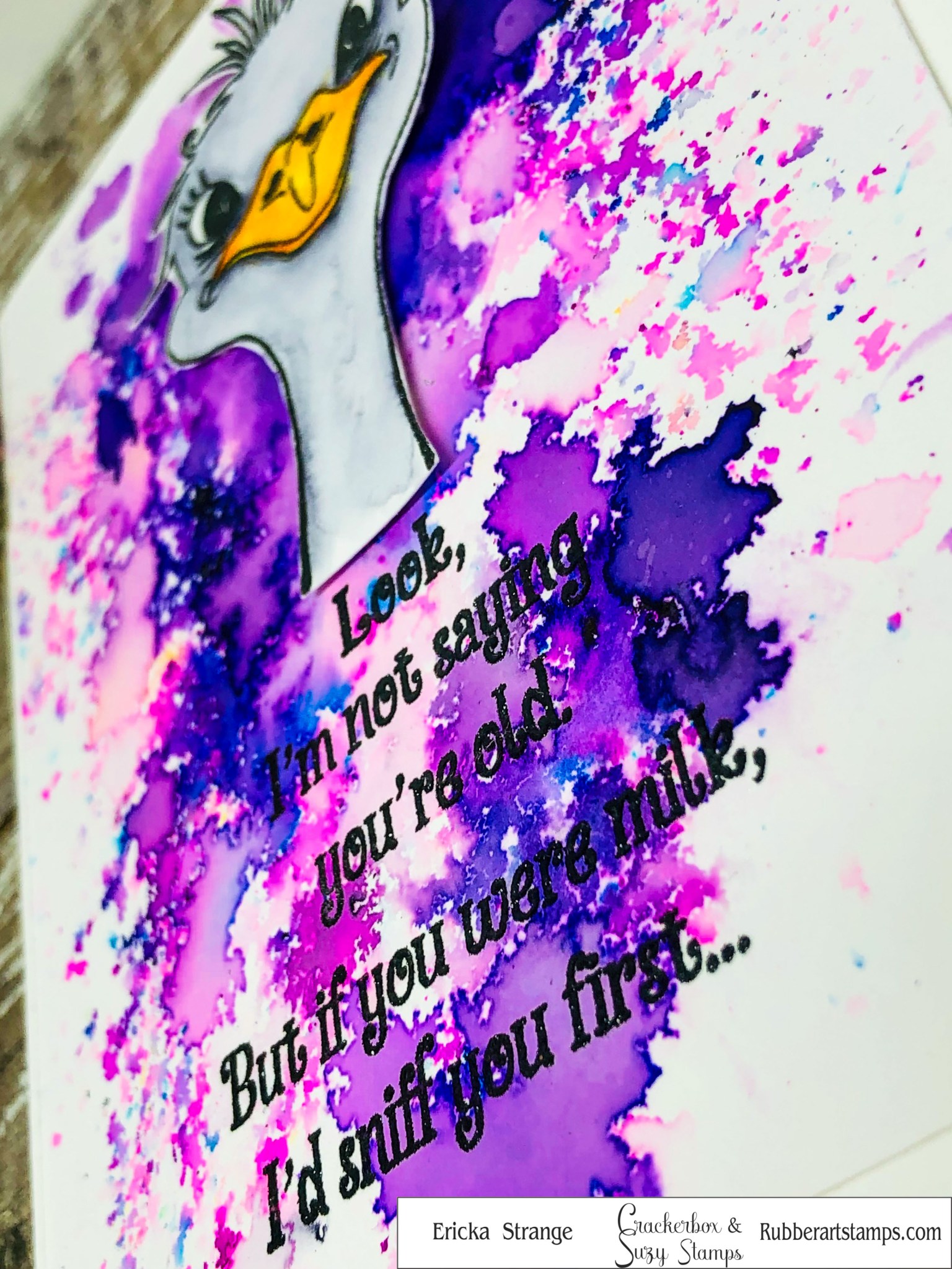 Crackerbox & Suzy Stamp Sniff You First – Strangely Creative